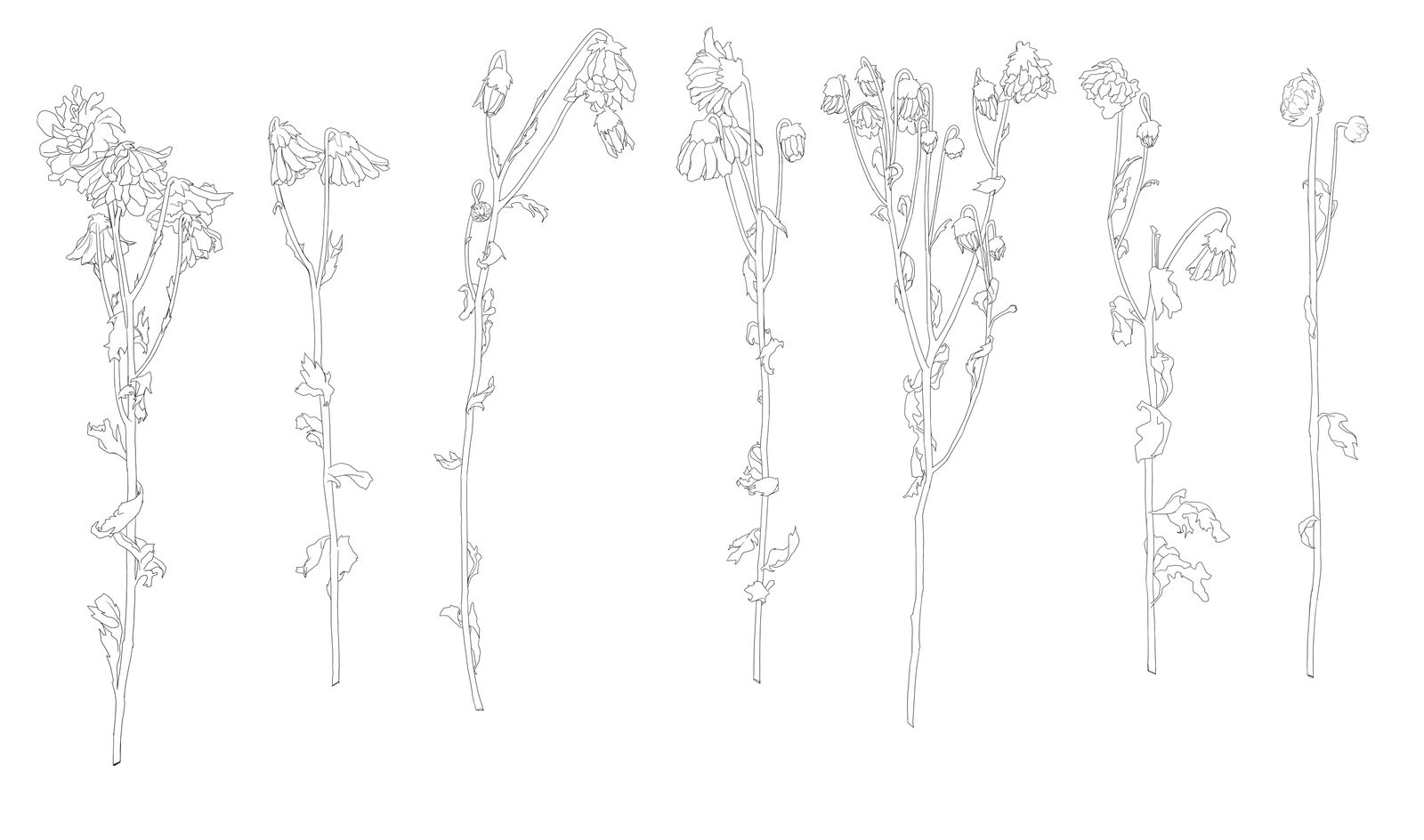 Withered Flowers Material and Brushes